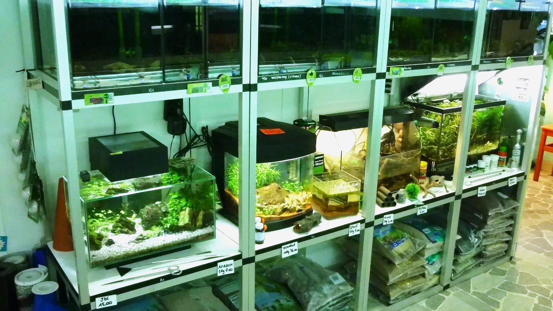 Negozi per animali a Milano: 5 tra i preferiti in città